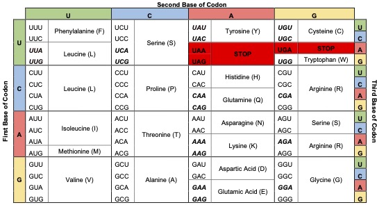 Research – The Sexton Lab at the University of Nebraska – Lincoln